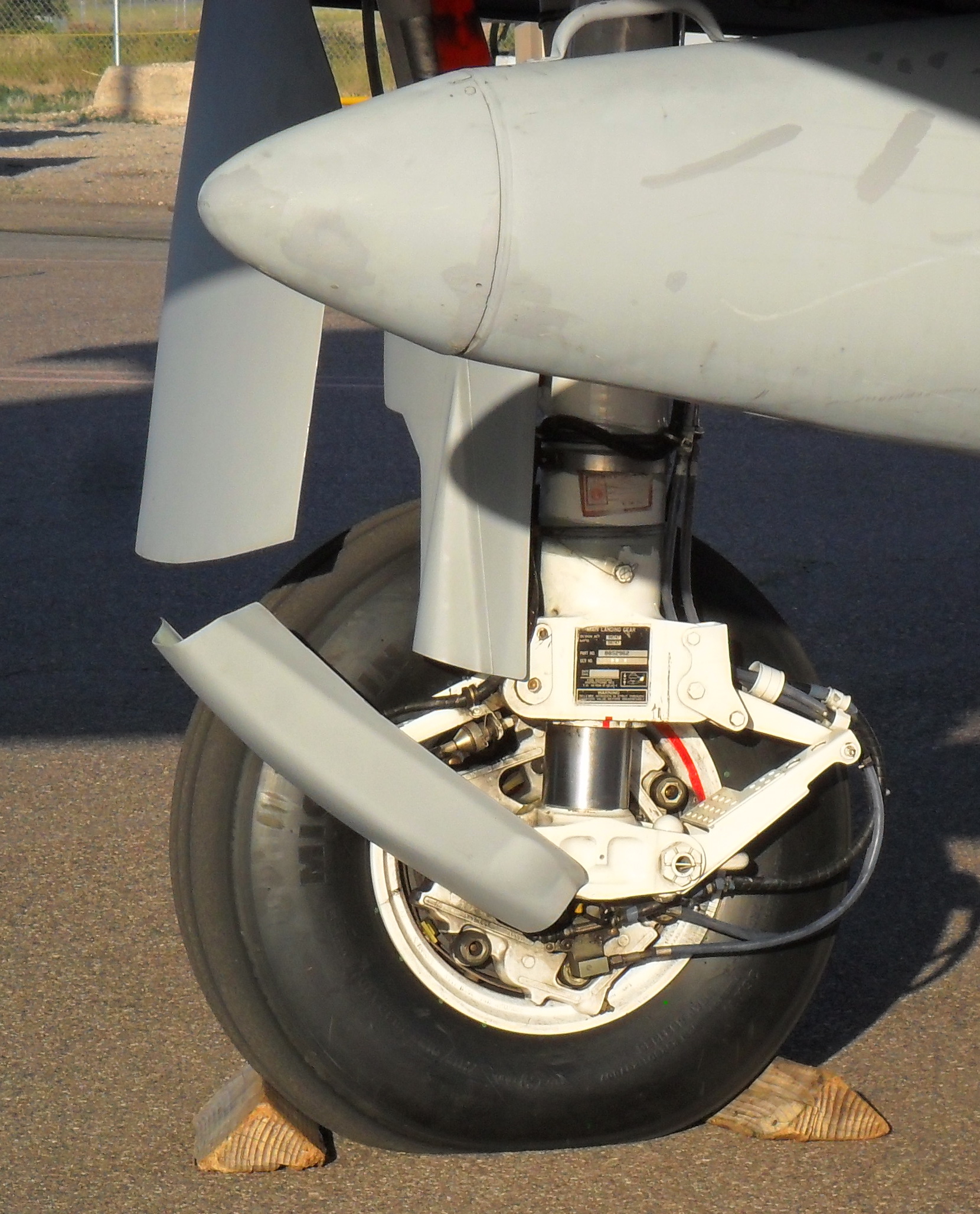 SAM_5099 | Blind Bat News