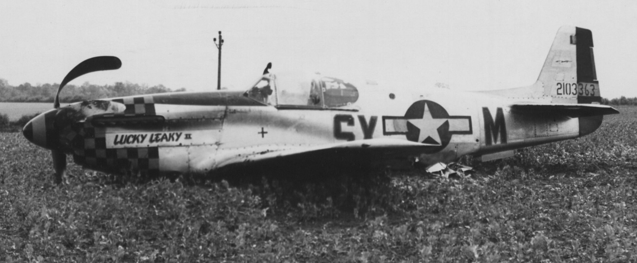 Crash Landings: USAAF P-51 Mustangs, England, 1944-45 | Blind Bat News
