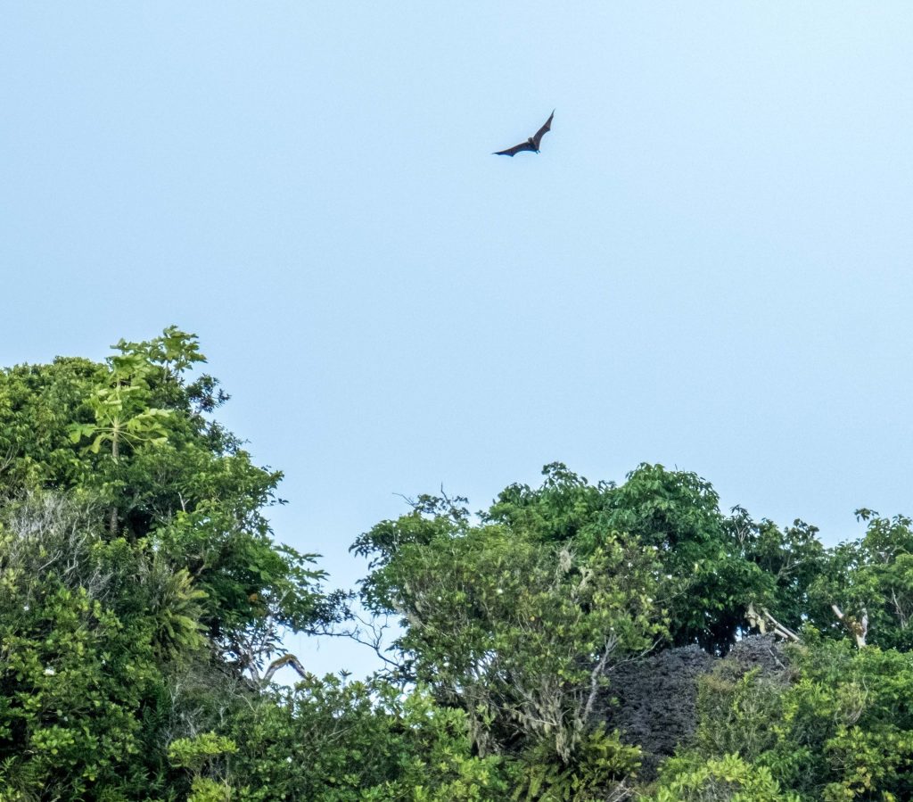 Operation Jupiter/Food Crisis: Why is the U.S. military so intent on ...