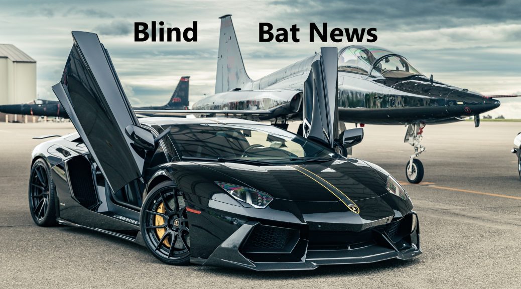 Blind Bat News | News you didn't know mattered